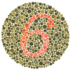 Ishihara Plate 03 from 38