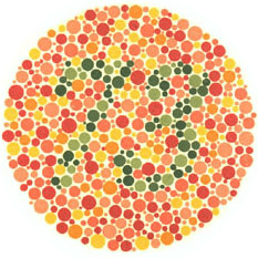 Ishihara Plate 17 from 38