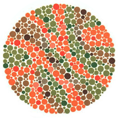 Ishihara Plate 19 from 38