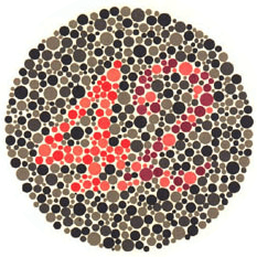 Ishihara Plate 23 from 38