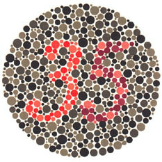 Ishihara Plate 24 from 38