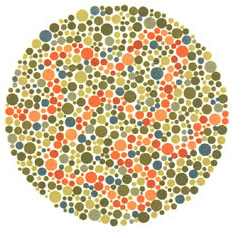 Ishihara Plate 32 from 38