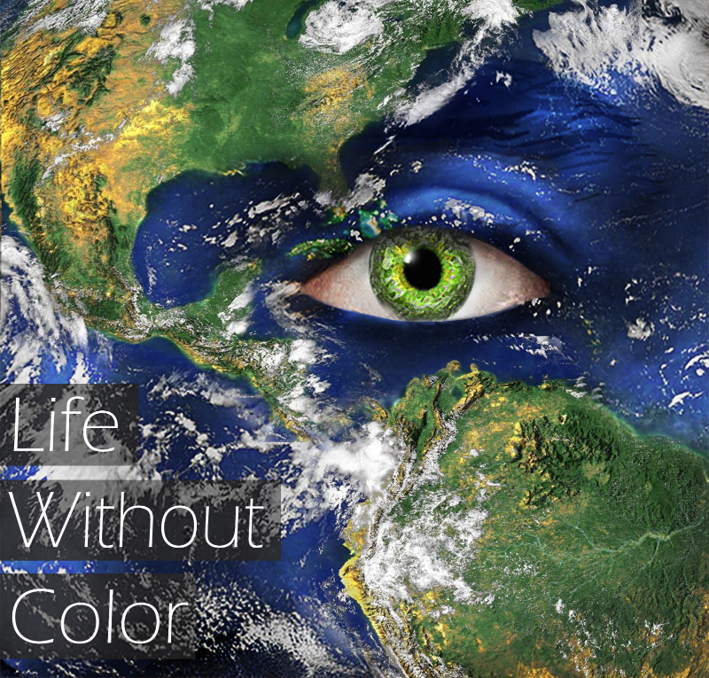 “Life Without Color” – Film about Color Blindness – Colblindor